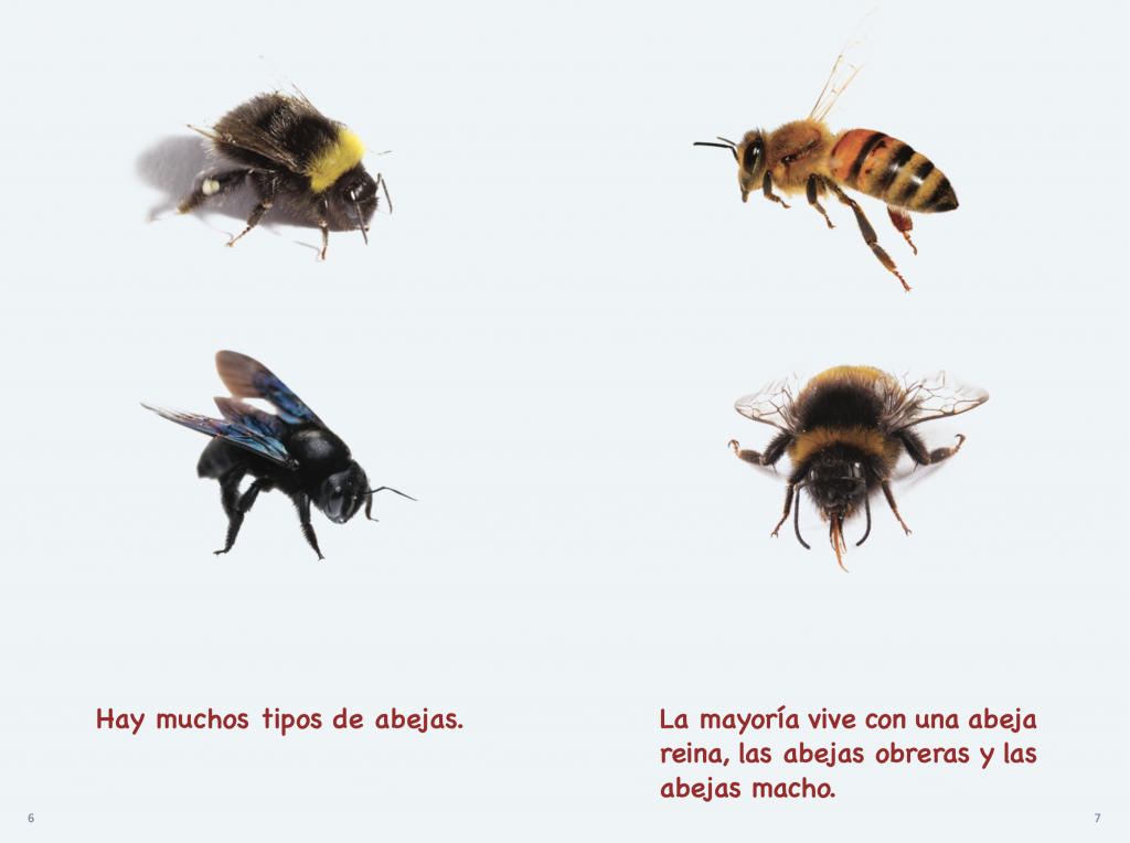Level 3 Readers - Spanish Lectura Books